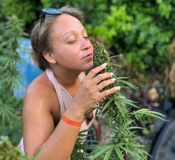 Weed Farm Tour - Montego Bay - Unique Oasis Tours